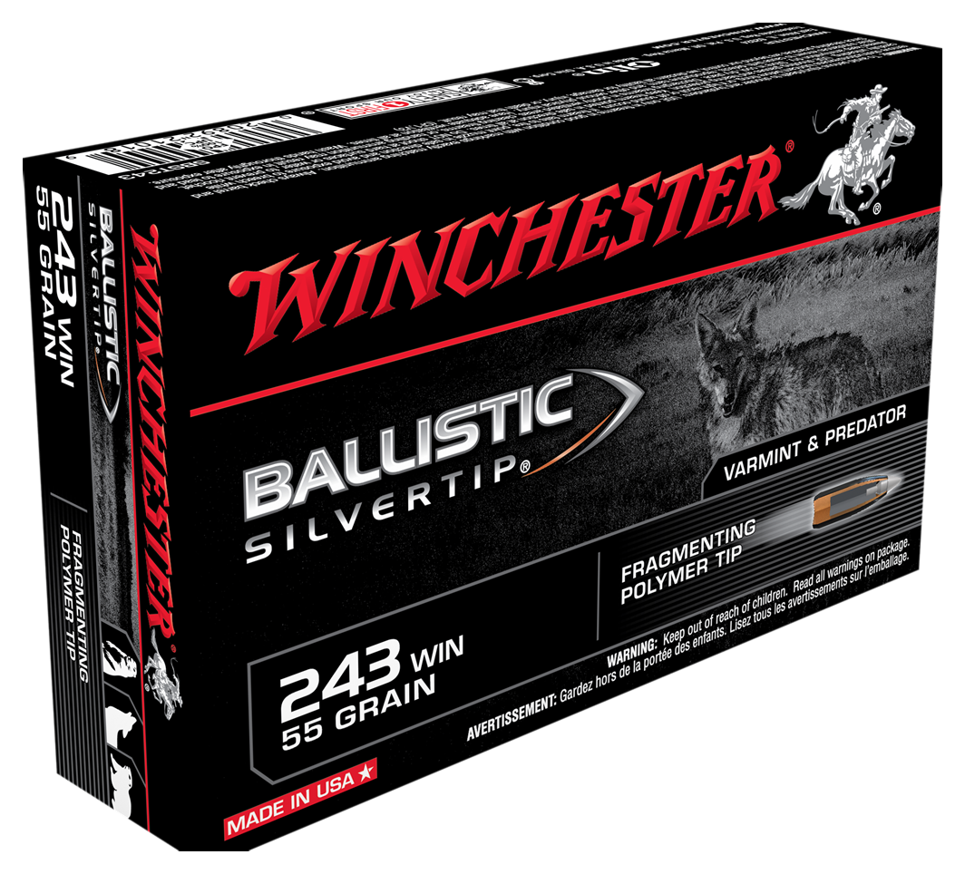 Winchester Ballistic Silvertip .243 Winchester 55 Grain Centerfire ...
